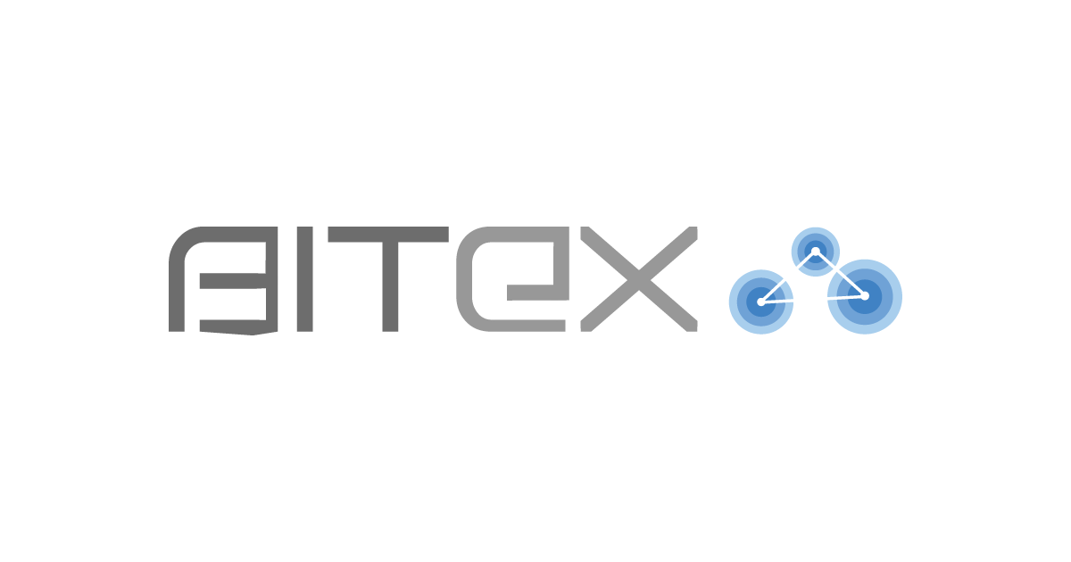 COMPANY - BITEX PTE LTD